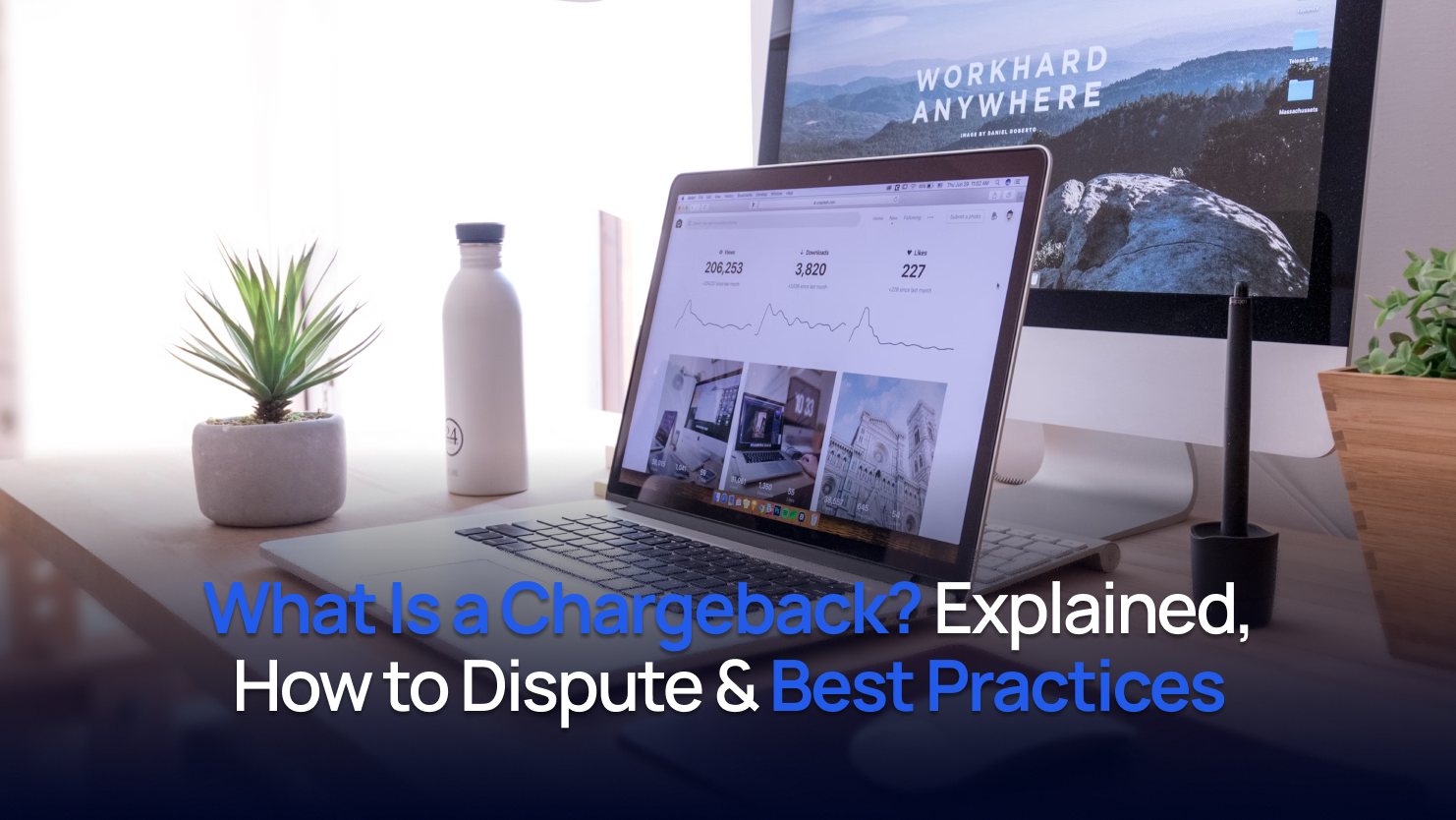 What Is a Chargeback? Explained, How to Dispute & Best Practices